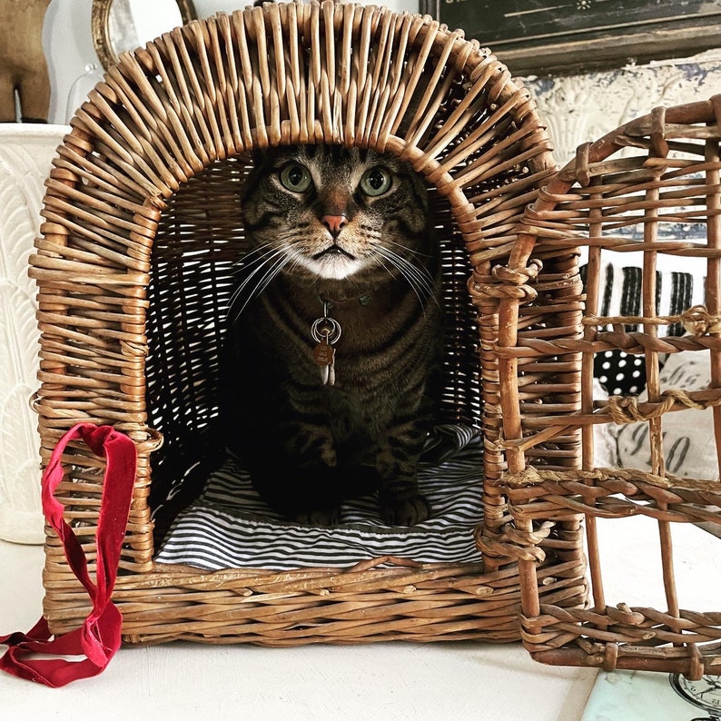Home & Living Storage & Organization Vintage Wicker Cat Carrier Jeanne ...