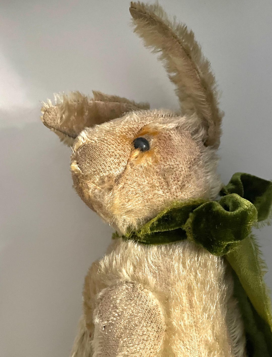 Antique Steiff, Extremely Rare Steiff Holland Rabbit, He Dates Circa ...