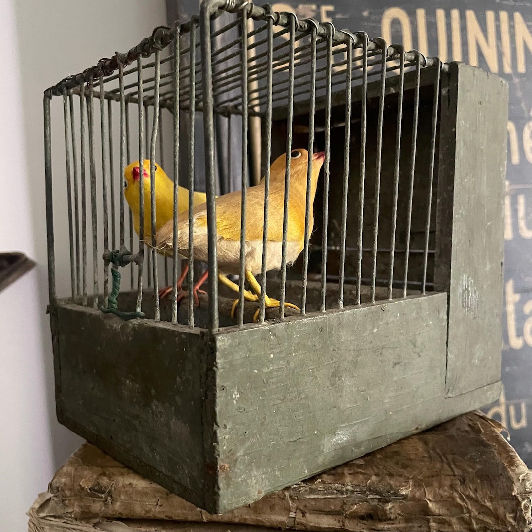 Antique French Canary Cage: Shabby Industrial Decor - Etsy