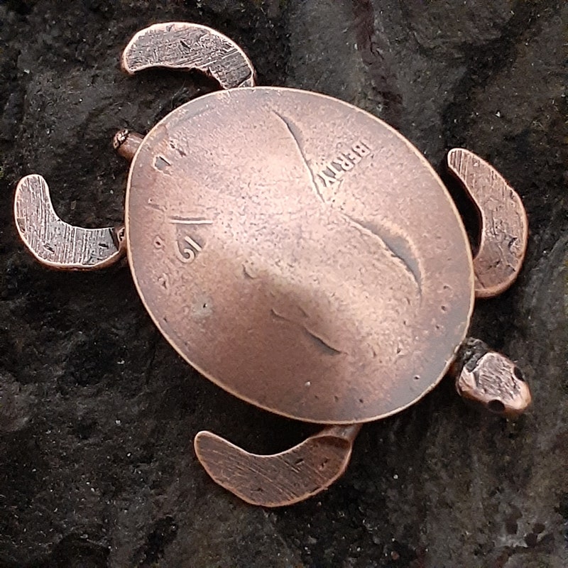 Miniature Turtles - Etsy