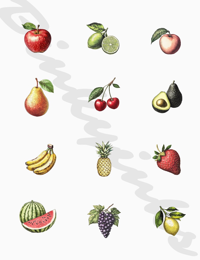 12 PNG and Svgs, Vintage Fruits Clipart, Digital Download PNG Vintage ...