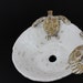 Large Hand Made Ceramic Sea Turtle Vessel Sink by Shayne Greco - Etsy