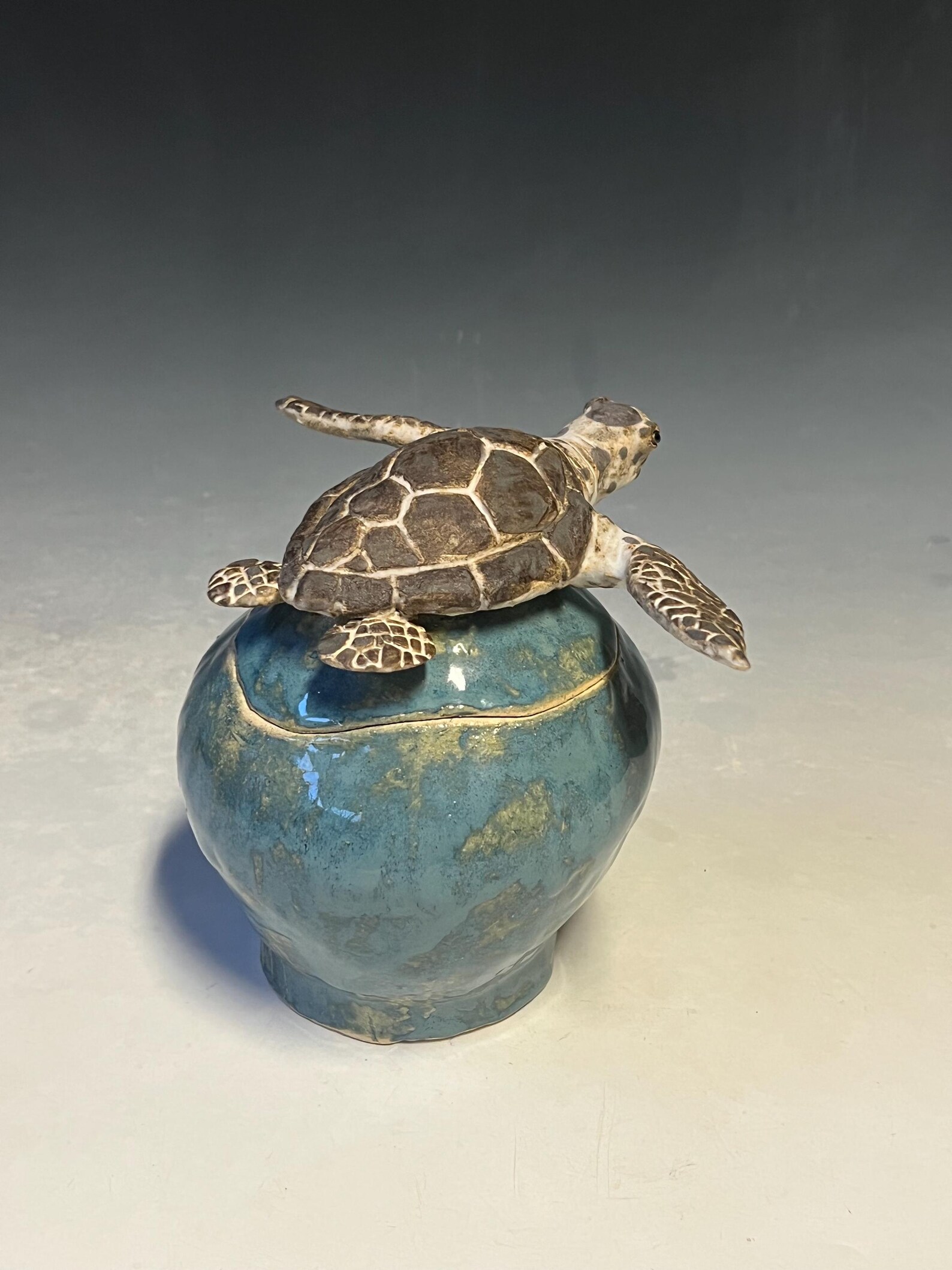 Turtle Jewelry Box in Ocean Blue - Etsy