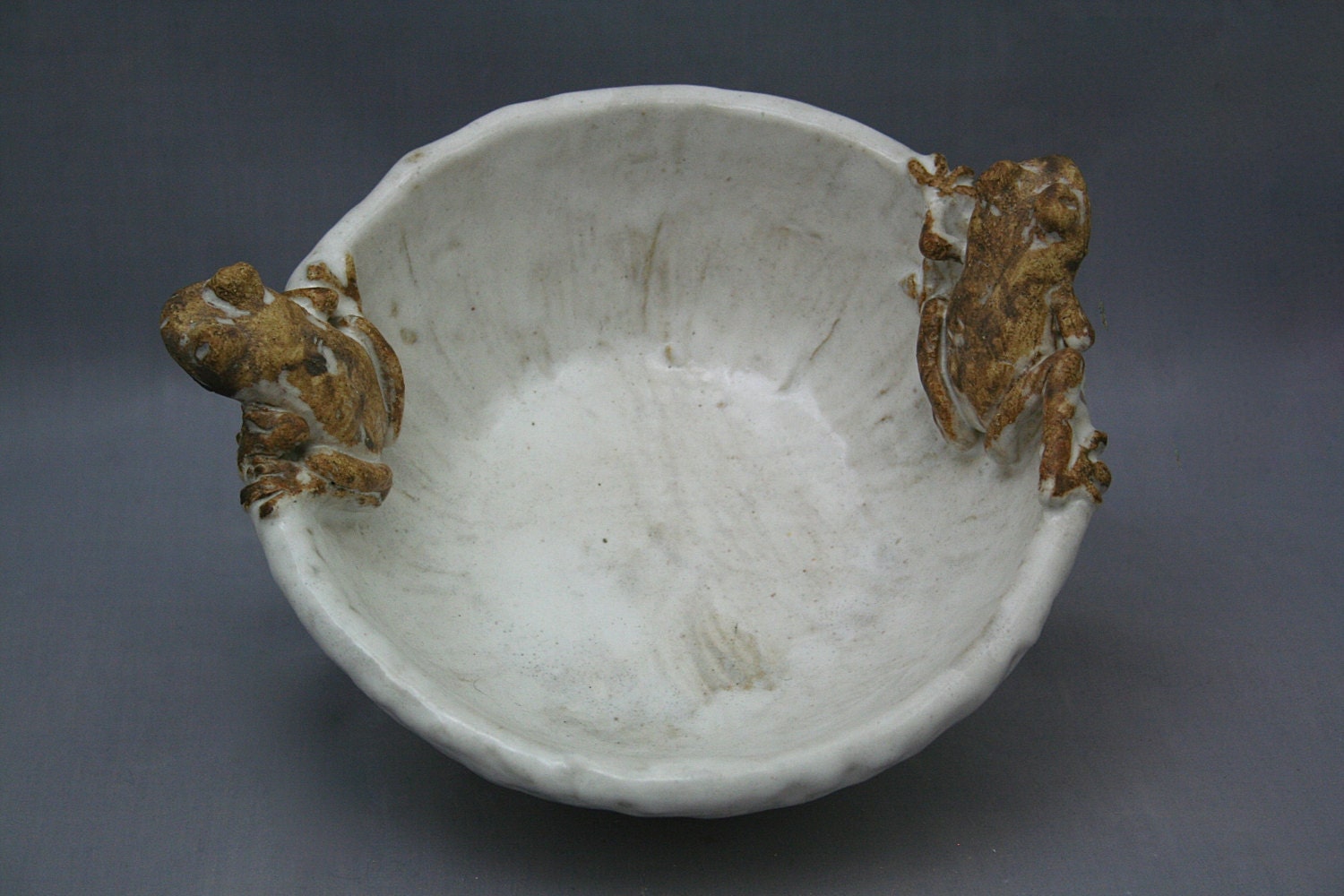 Ceramic Tree Frog Bowl by Shayne Greco Beautiful Mediterranean ...