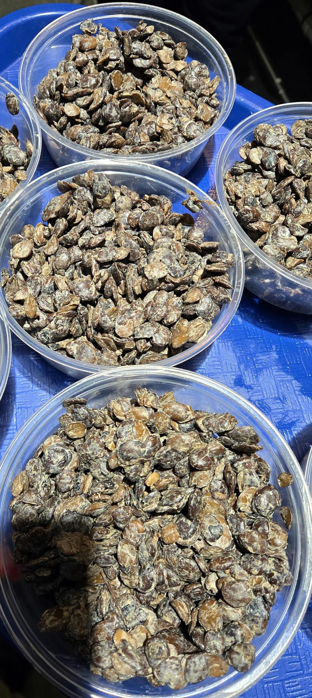 Iru (locust Beans) Fresh - Etsy