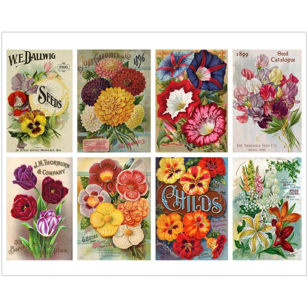 Victorian Botanical Print, Vintage Seed Catalog, Hanging Wall Art ...