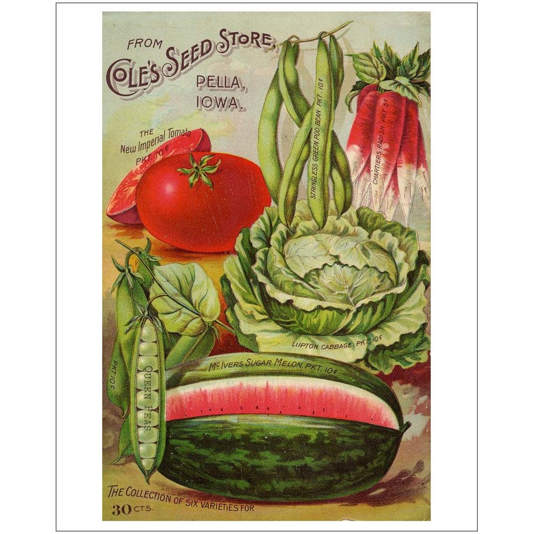 Victorian Botanical Print, Vintage Seed Catalog, Hanging Wall Art ...