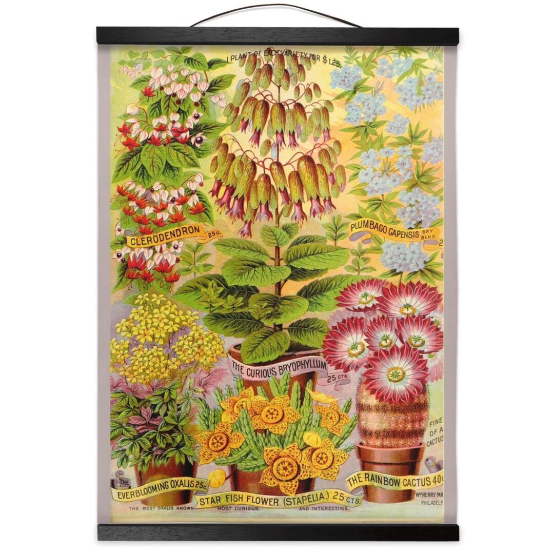 Botanical Illustration of Victorian Plants, Victorian Botanical Print ...