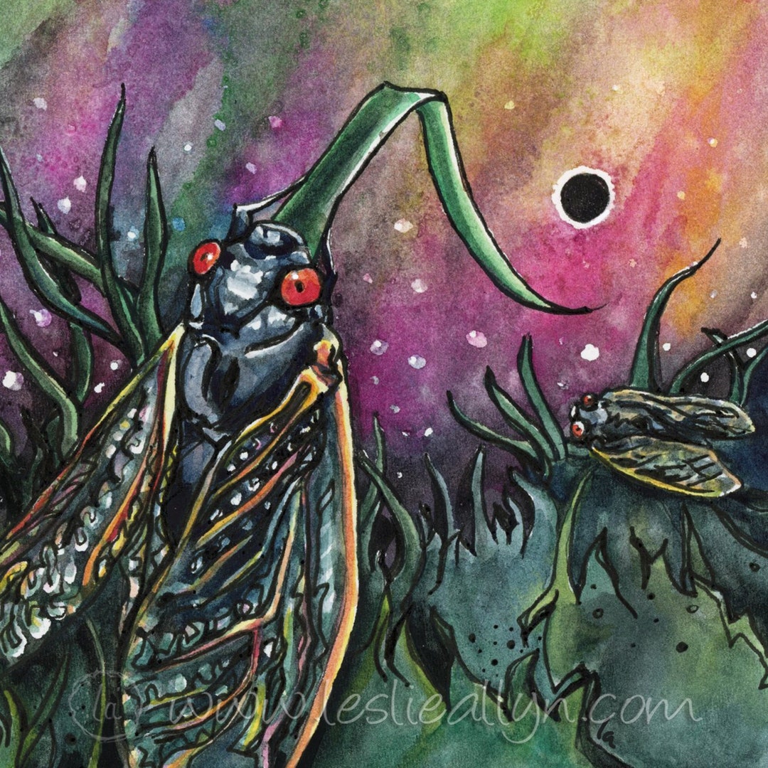 Aurora - 9x9 Original - Northern Lights, Solar Eclipse and Cicadas - Etsy