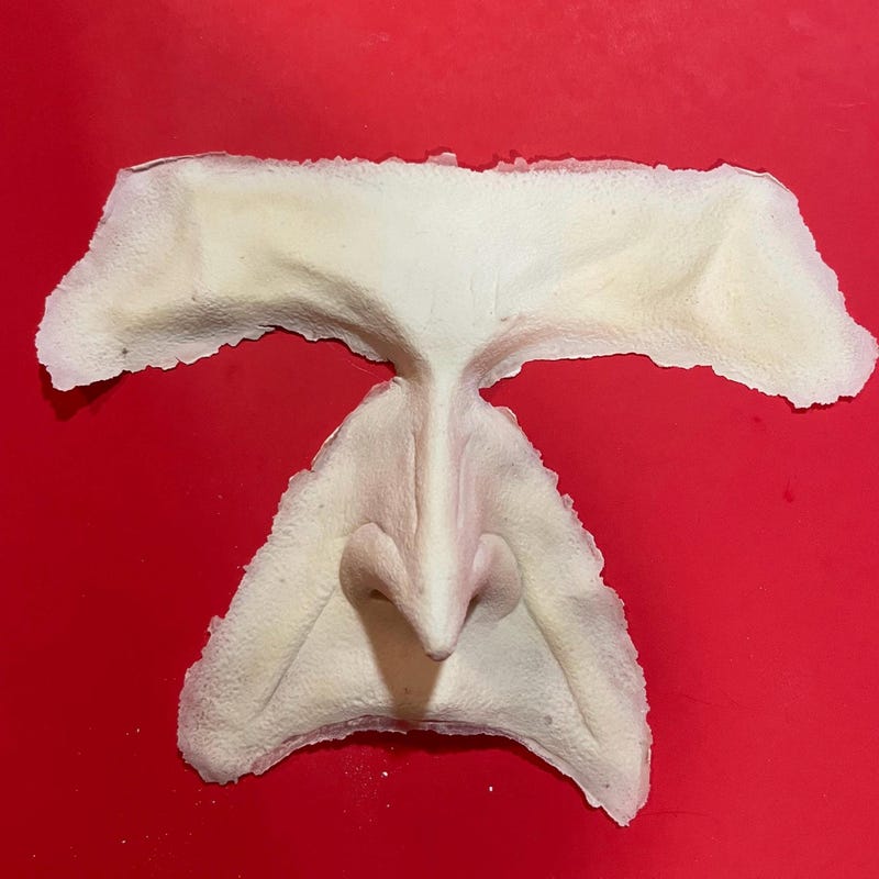 Prosthetic Pig Nose - Etsy