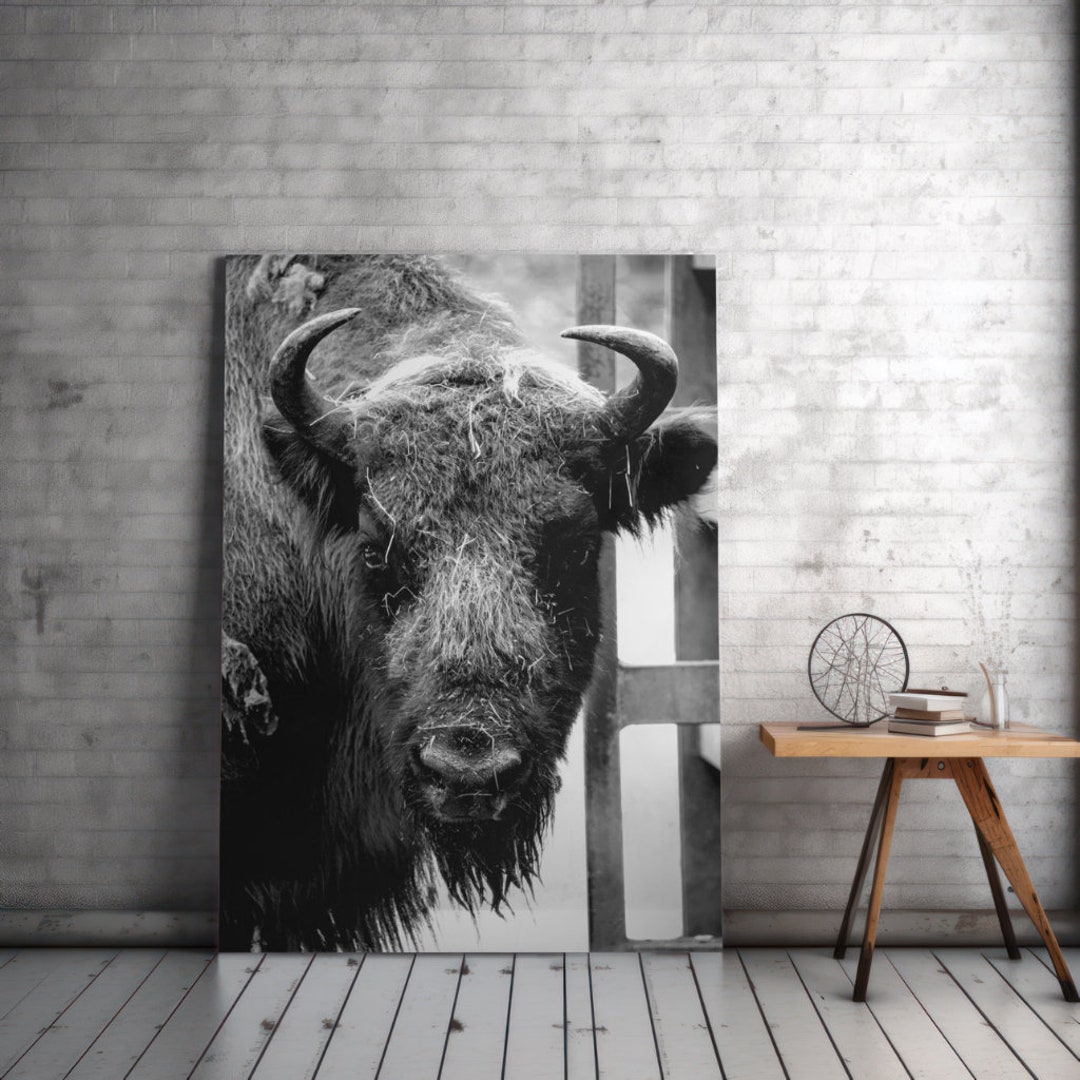 Buffalo Print, Bison Print, Western Art Decor, Digital Download, Black ...