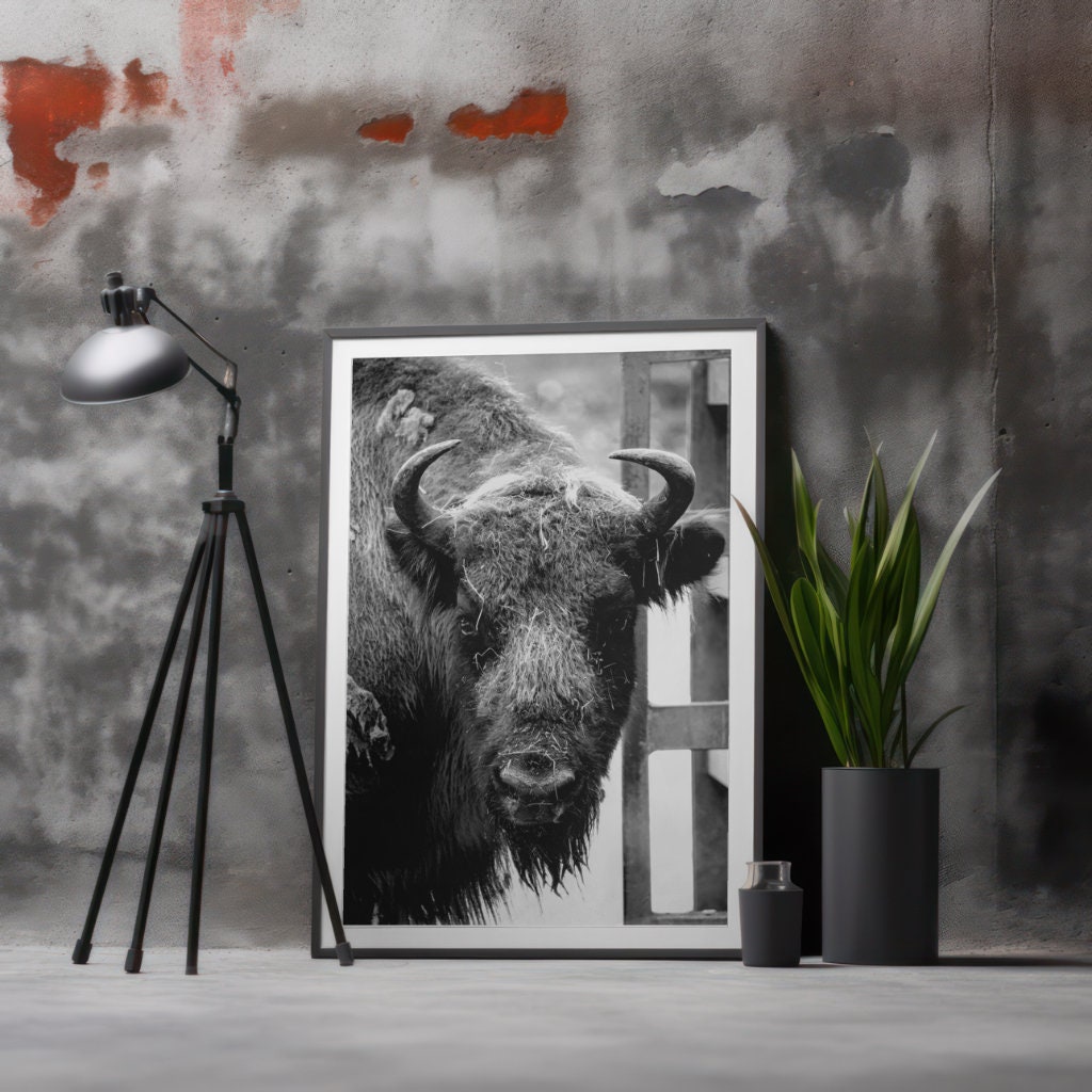 Buffalo Print, Bison Print, Western Art Decor, Digital Download, Black ...