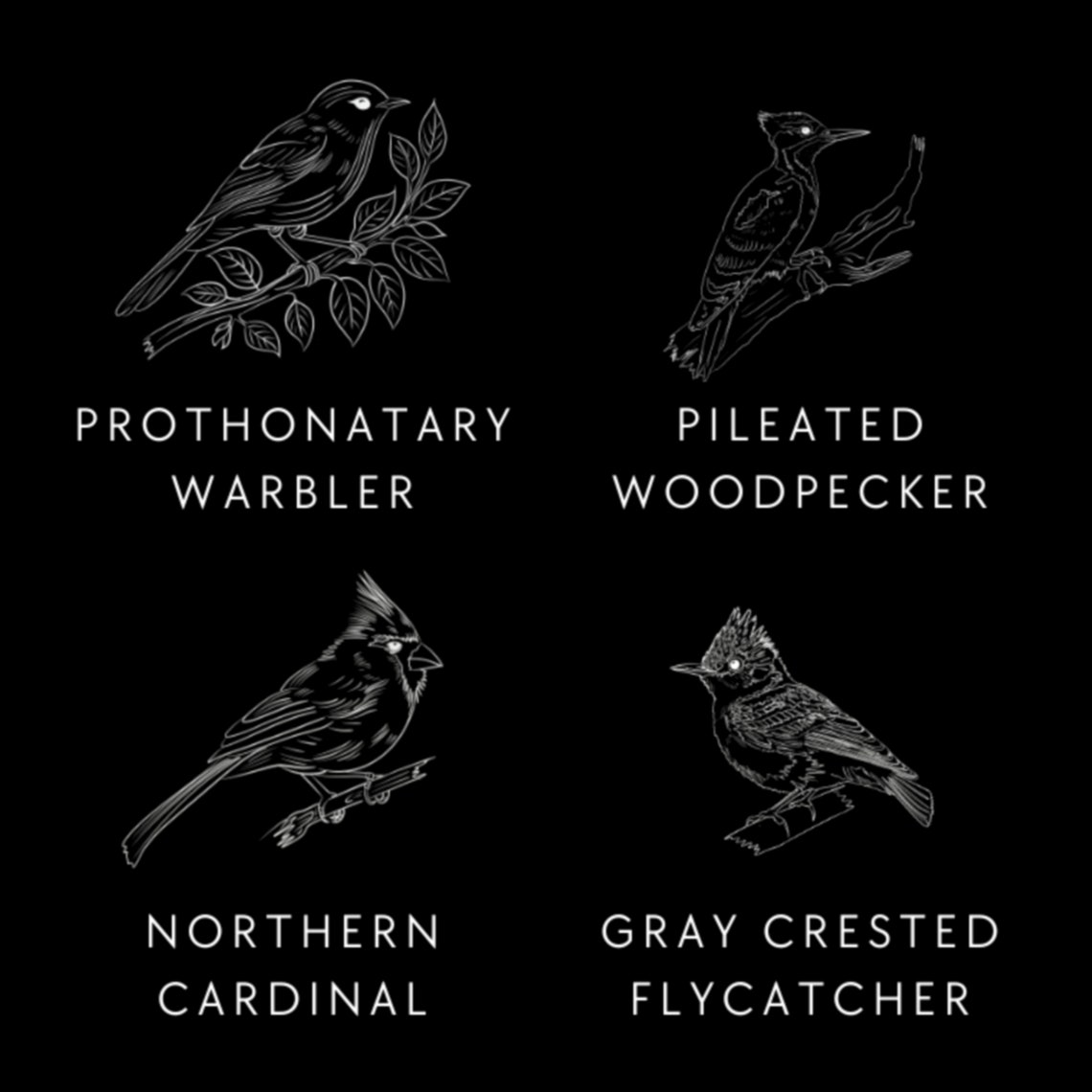 Feathered Flock - 13 Beautiful Bird Brushes in 1 Set for Procreate (no ...