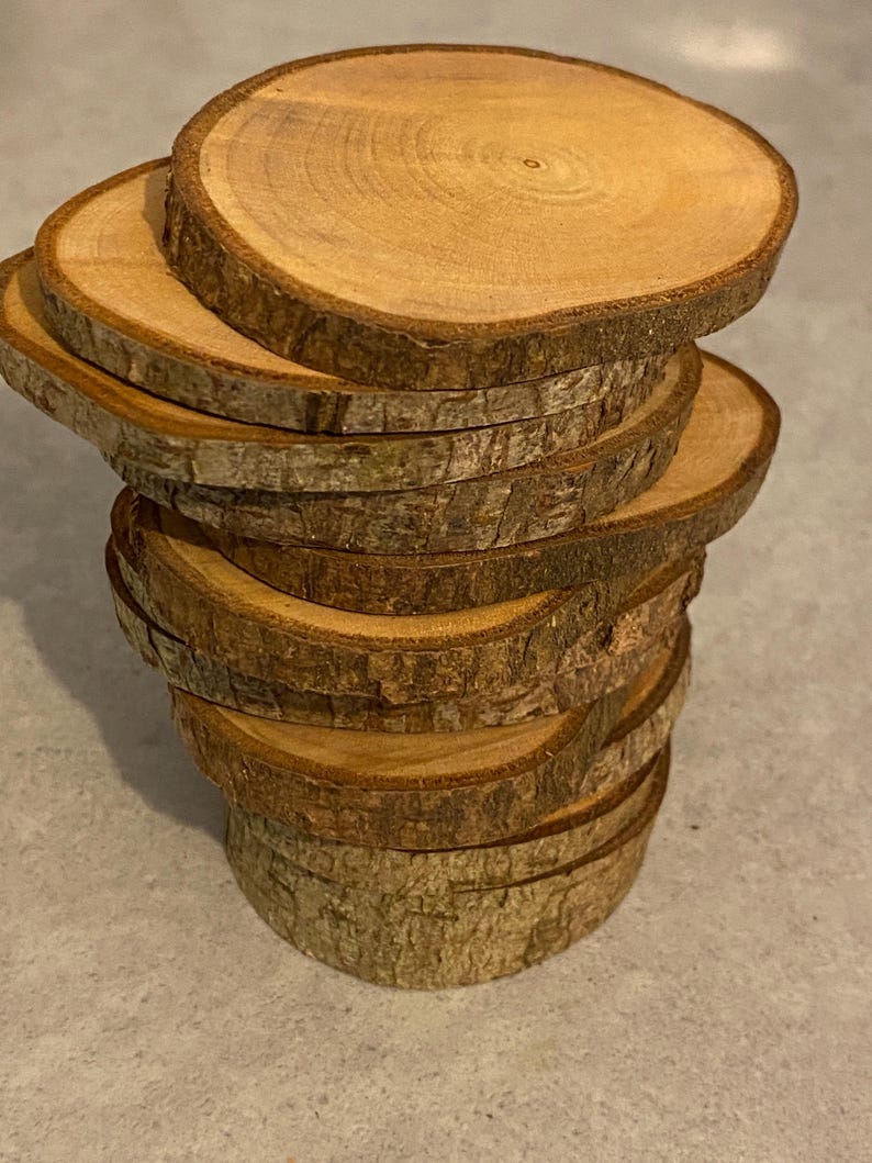 10x Log Slices Wooden Natural for Art Craft Painting Education Log Cuts ...