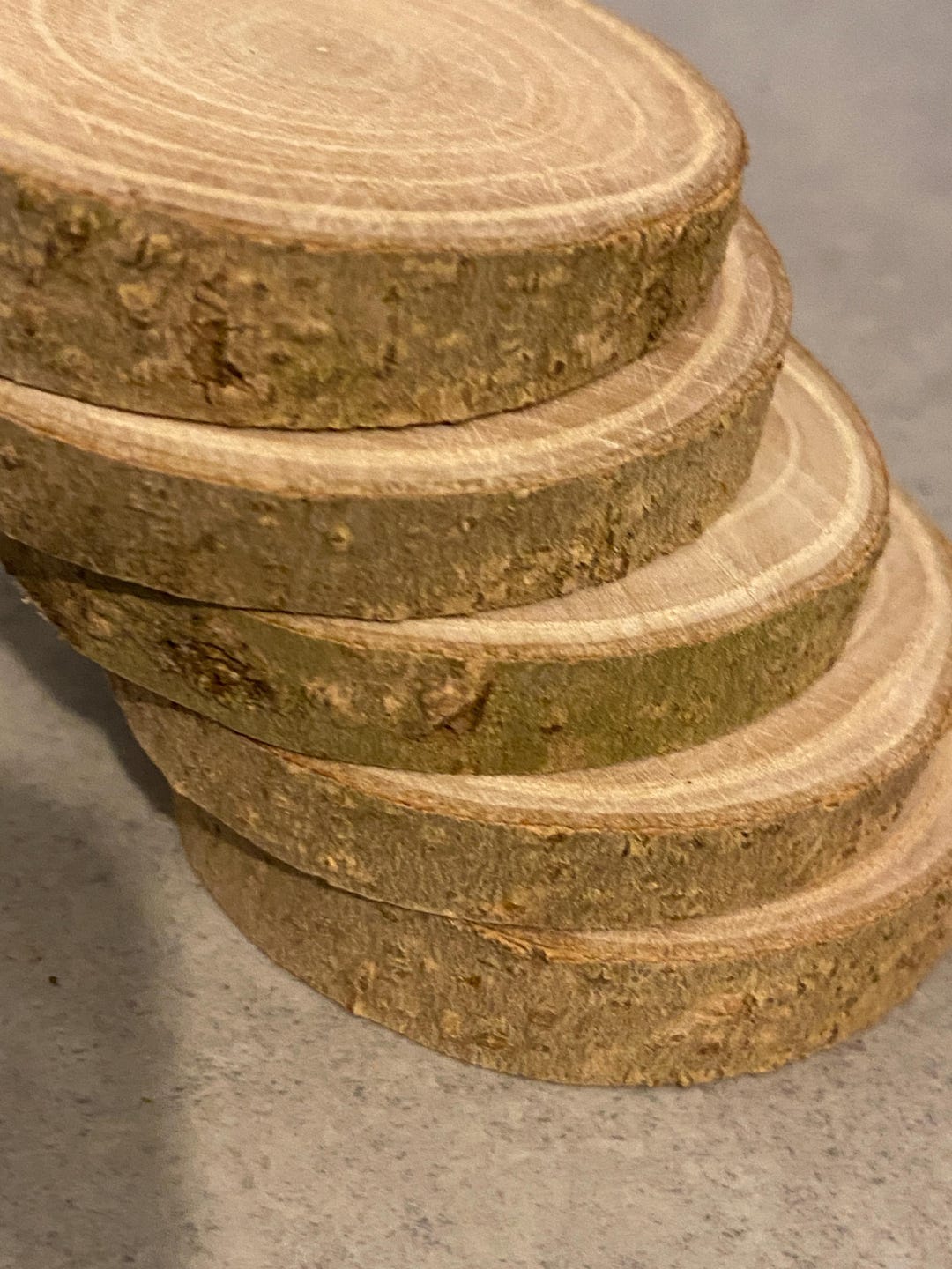 10x Log Slices Wooden Natural for Art Craft Painting Education Log Cuts ...