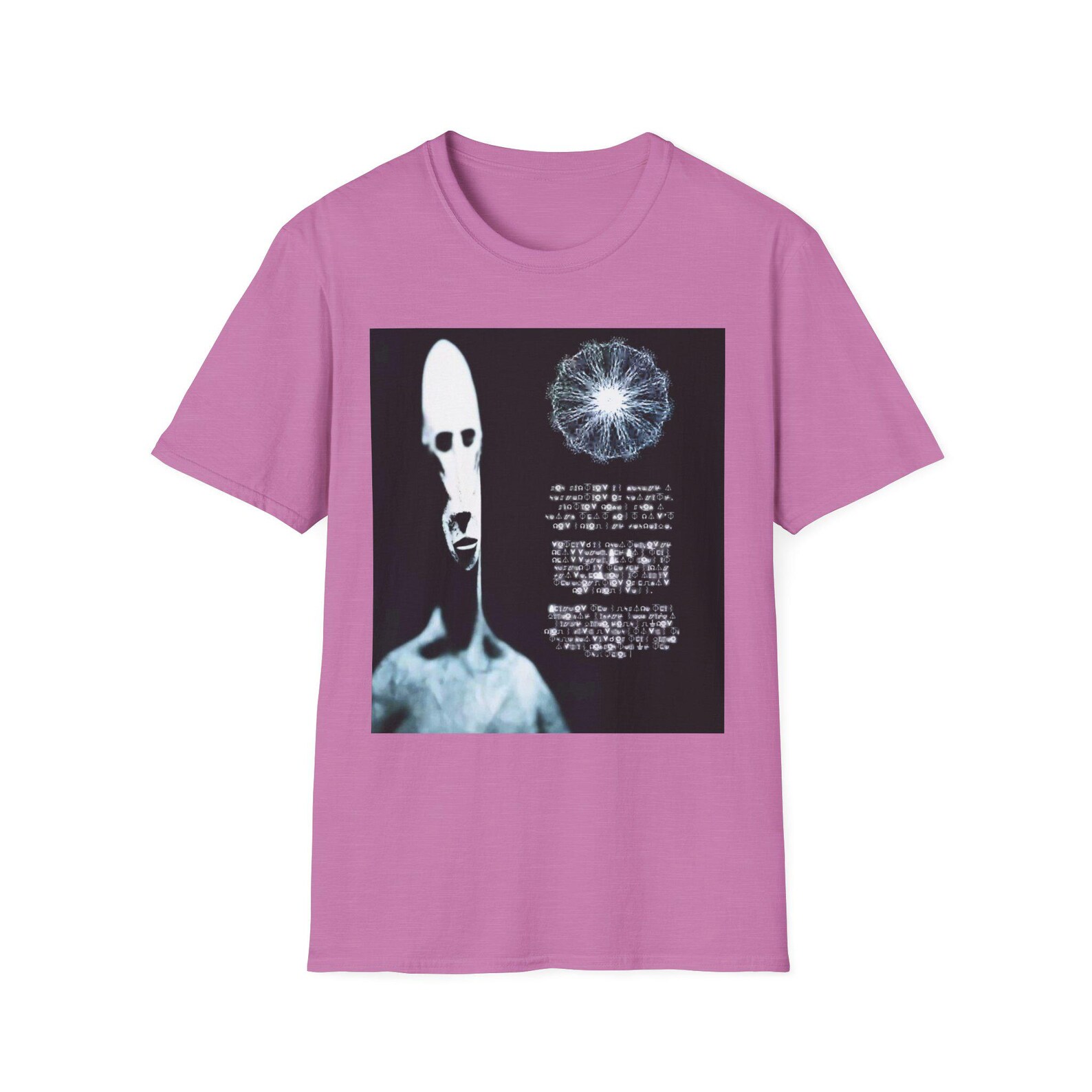 Alien Brainrot Softstyle T-shirt, Last Meme of 2024 Funny Tee, Locked ...