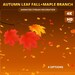 Autumn Leaf Fall + Animated Maple Branch - Red Orange Autumn Fall ...