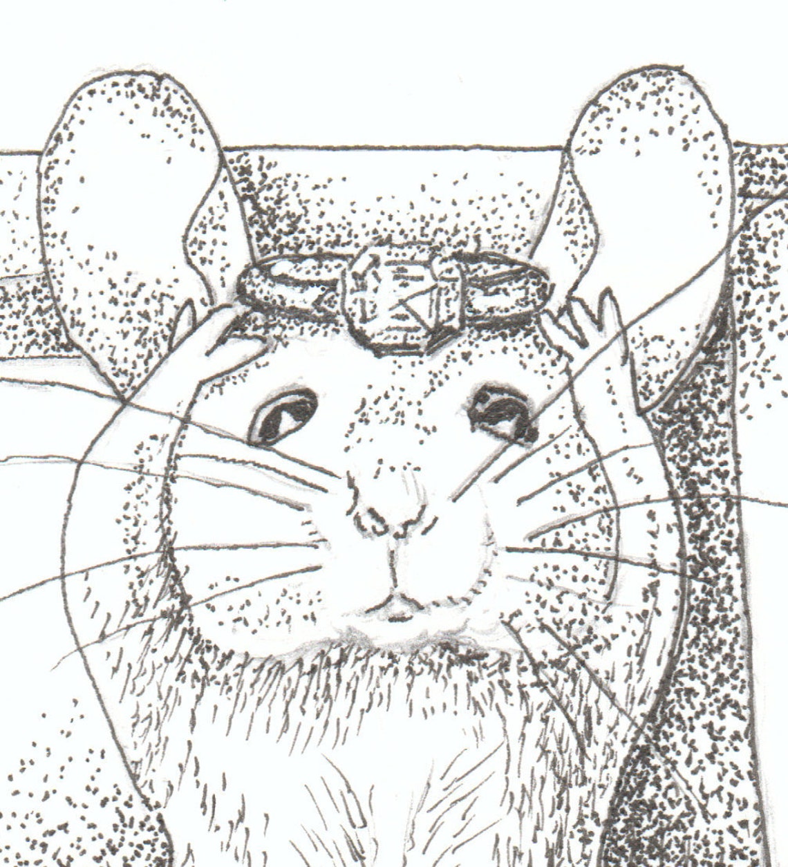 Original Pen and Ink Drawing of Mouse in Jewelry Box Mouse - Etsy