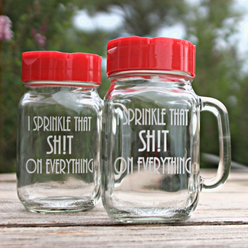 16 Oz Spice Shaker Jar With Handle, I Sprinkle That Sh!t on Everything ...