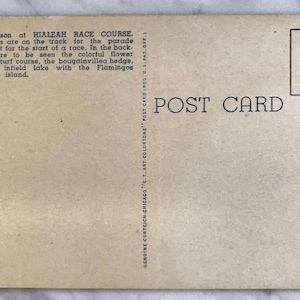 Vintage 1940s UNUSED Linen Postcard Mid-season at Hialeah - Etsy
