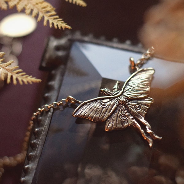 Moth Necklace - Etsy