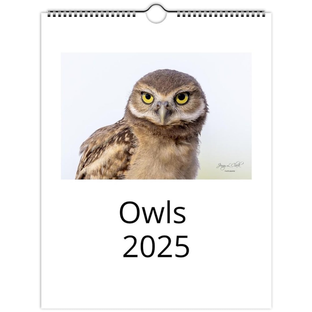 Owl Wall Calendar 2025 - Etsy