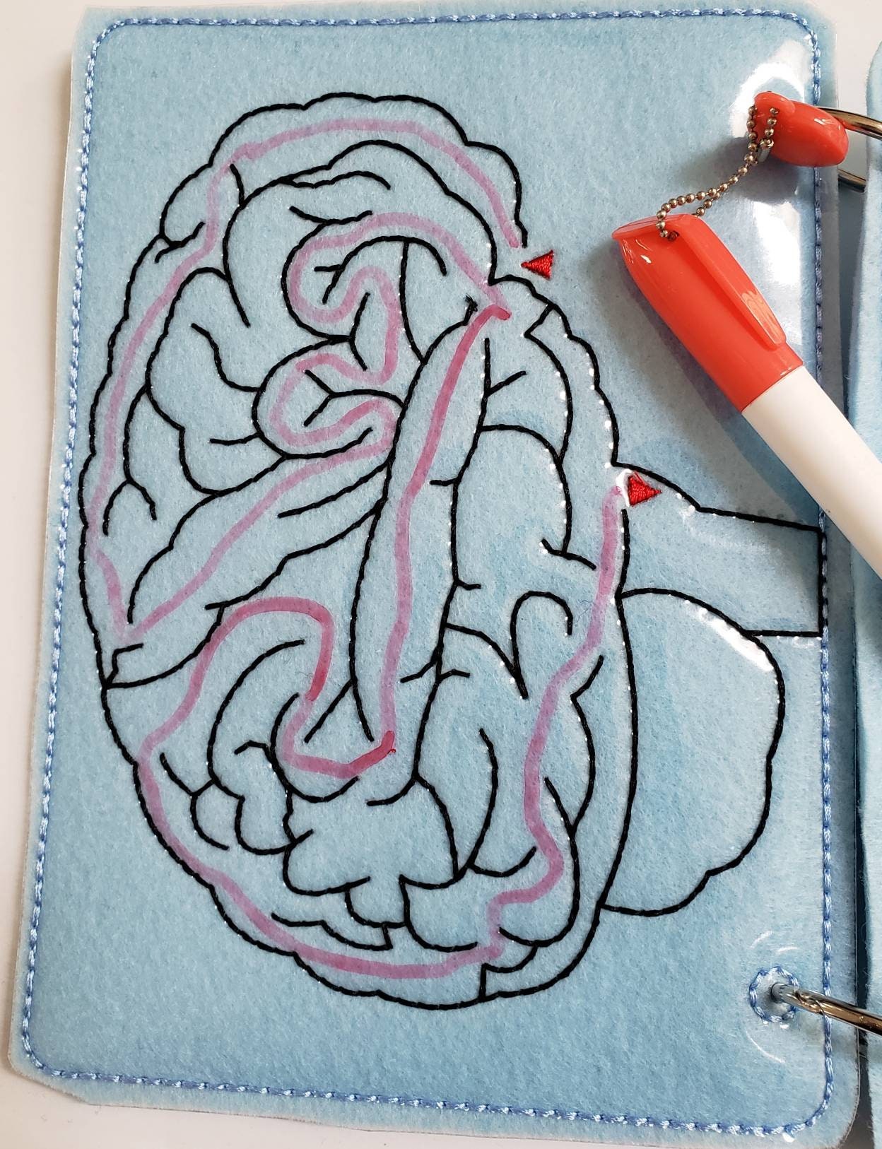 Felt Human Brain Puzzle: Quiet Book Page, Medical Learning Board - Etsy