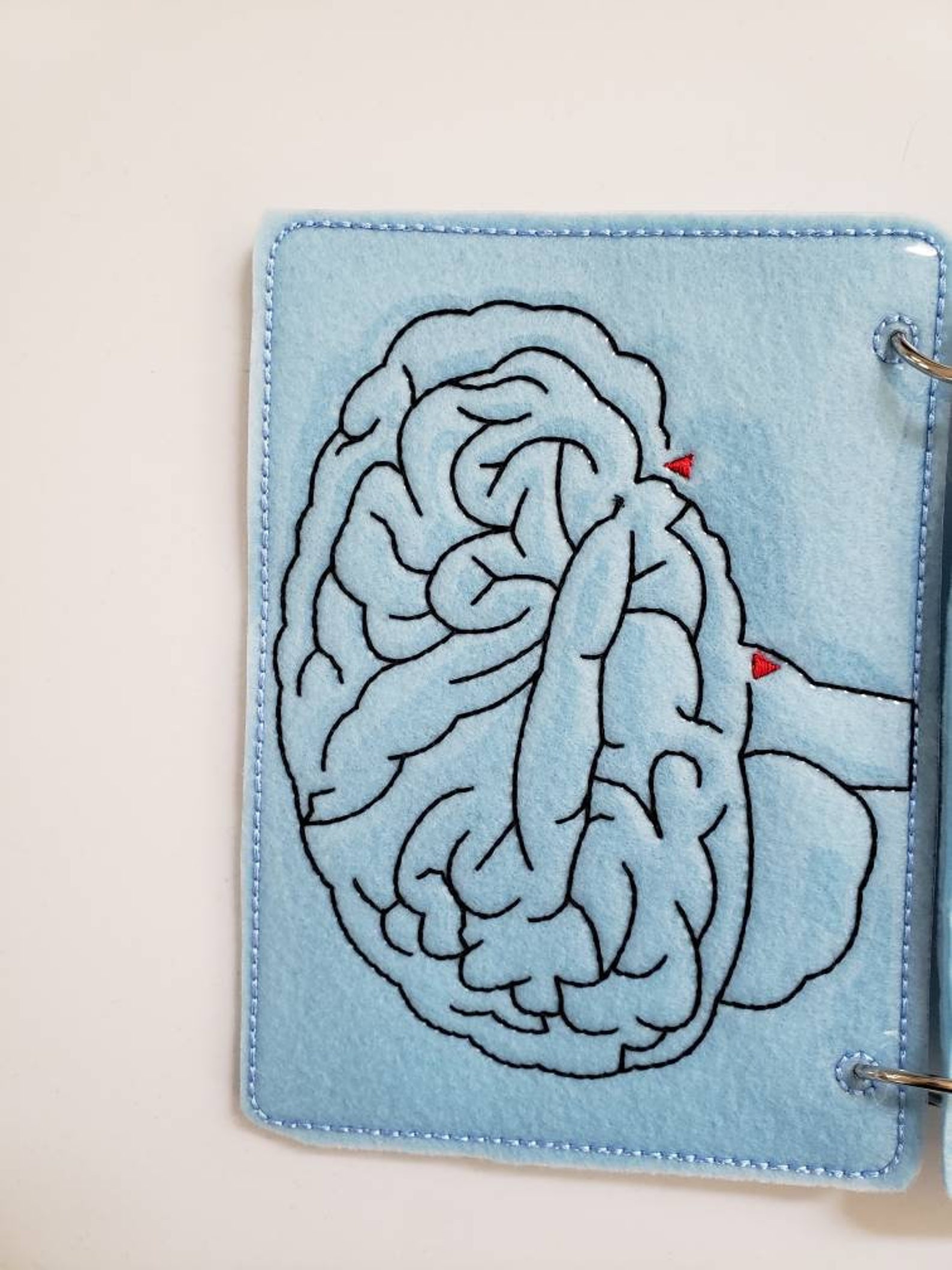 Felt Human Brain Puzzle: Quiet Book Page, Medical Learning Board - Etsy