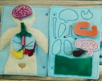 Anatomy Busy Book - Etsy