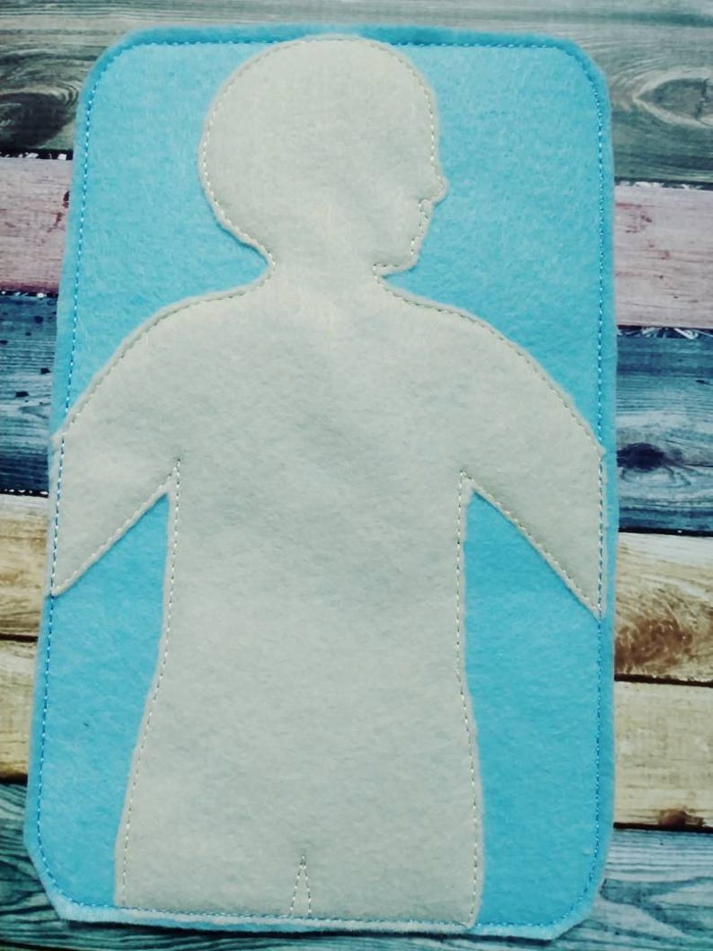 Anatomy board felt board with 15 organ pieces learning | Etsy