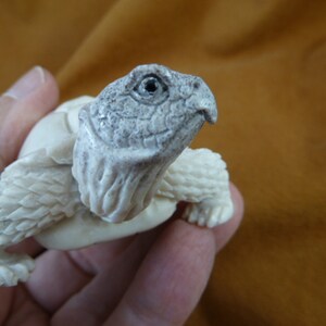 Large Tortoise Turtle of Shed ANTLER Figurine Bali Detailed Carving of ...