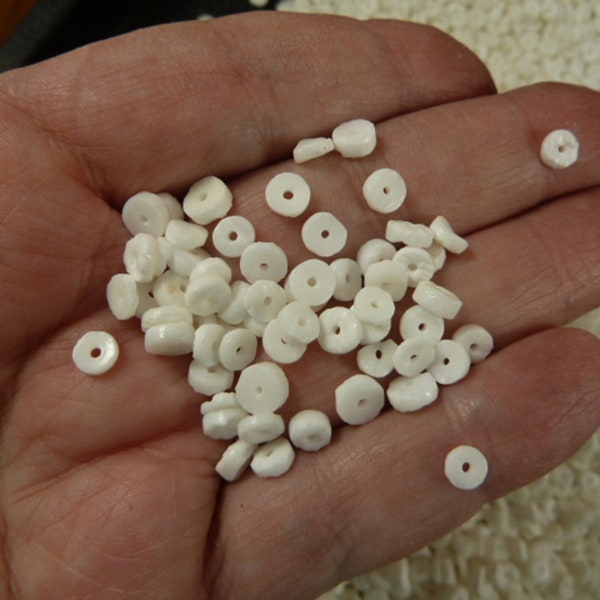 Clam Shell Beads - Etsy