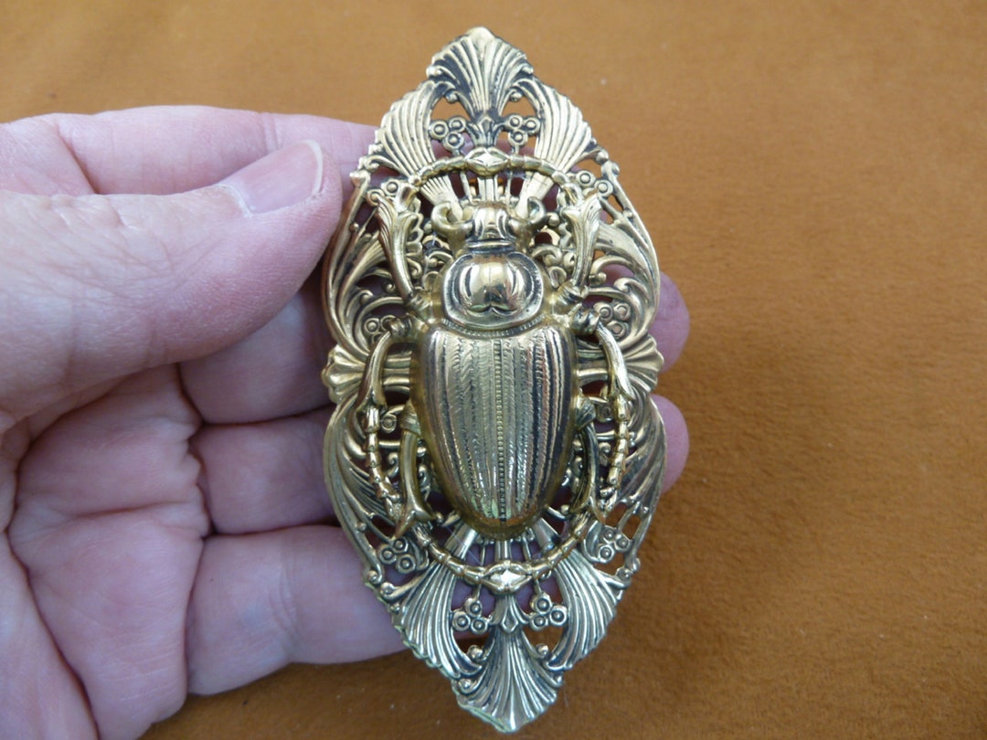 Scarab Egyptian Beetle Bug Bugs Buprestid Beetle Insect Textured ...