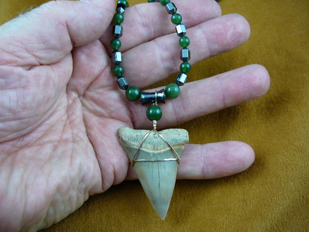 2" Fossil Extinct Mako Shark Tooth Gold Wired on Black Hematite + Green ...