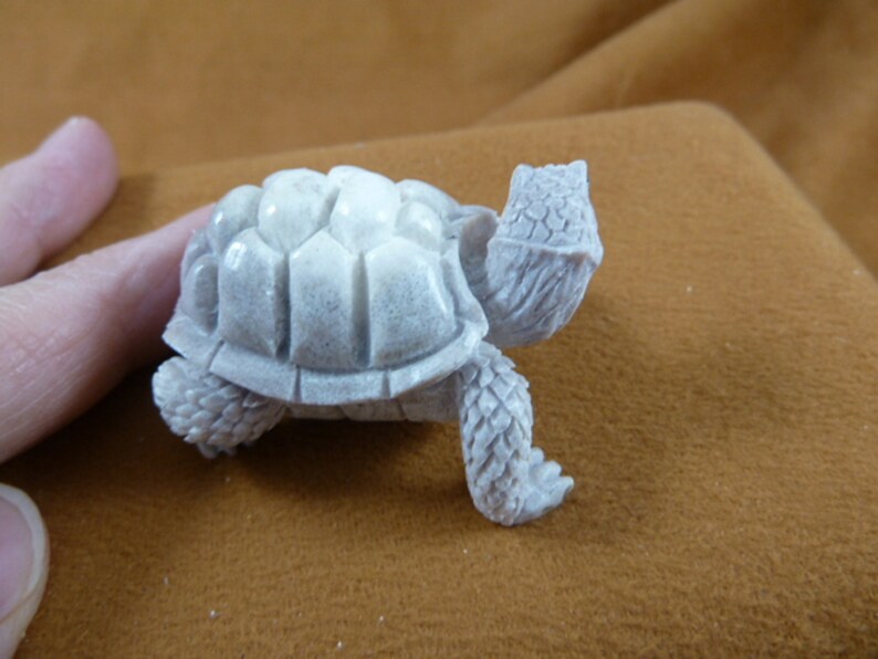 Turtle of Shed ANTLER Figurine Bali Detailed Carving of Shed Moose ...