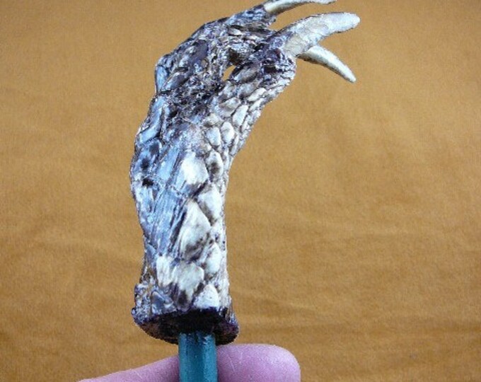 Gator FOOT Back Scratcher PAW ALLIGATOR Backscratcher G628-5 - Etsy