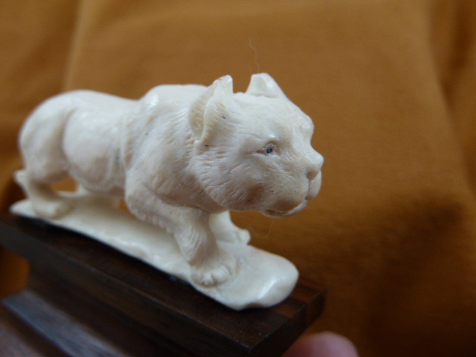 Medium White Lynx Cat Bobcat of Shed ANTLER Figurine on Wood - Etsy