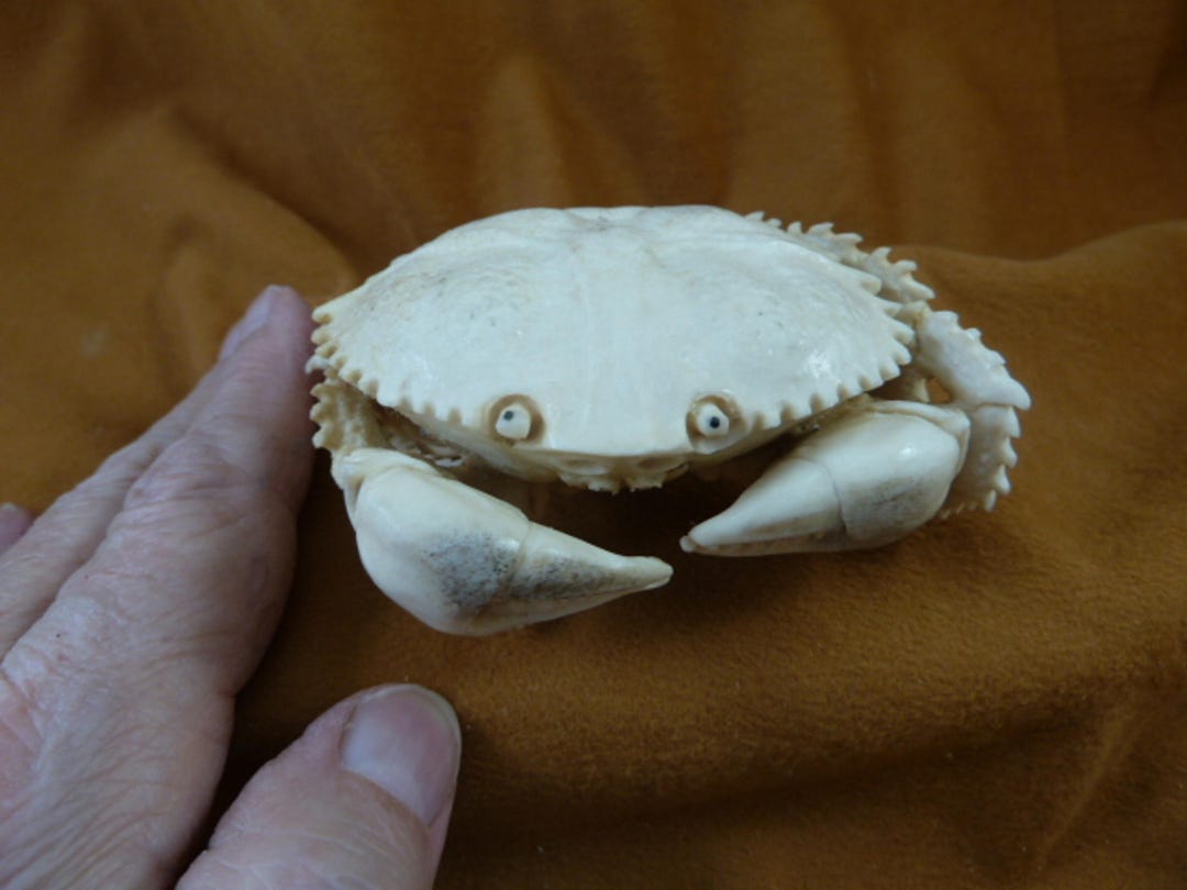 Large White Shore Crab Figurine Bali Detailed Carving of Shed Moose ...