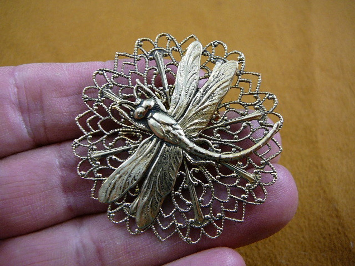 Dragonfly Insect Pond Bug Lover on Round Filigree Scrolled Victorian ...