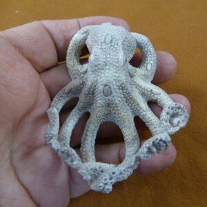Medium/large White Octopus of Shed ANTLER Figurine Bali Detailed ...