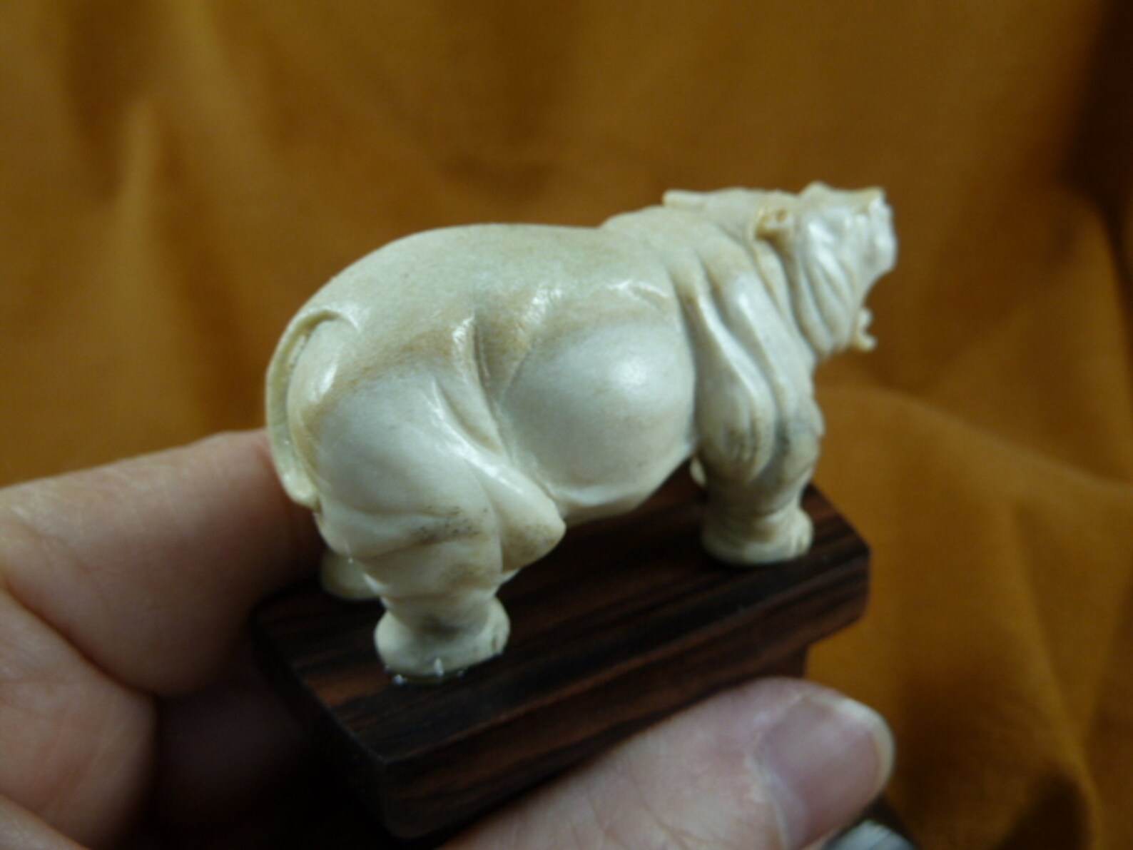 White Hippo of Shed ANTLER Figurine on Wood Base Bali Detailed Carving ...