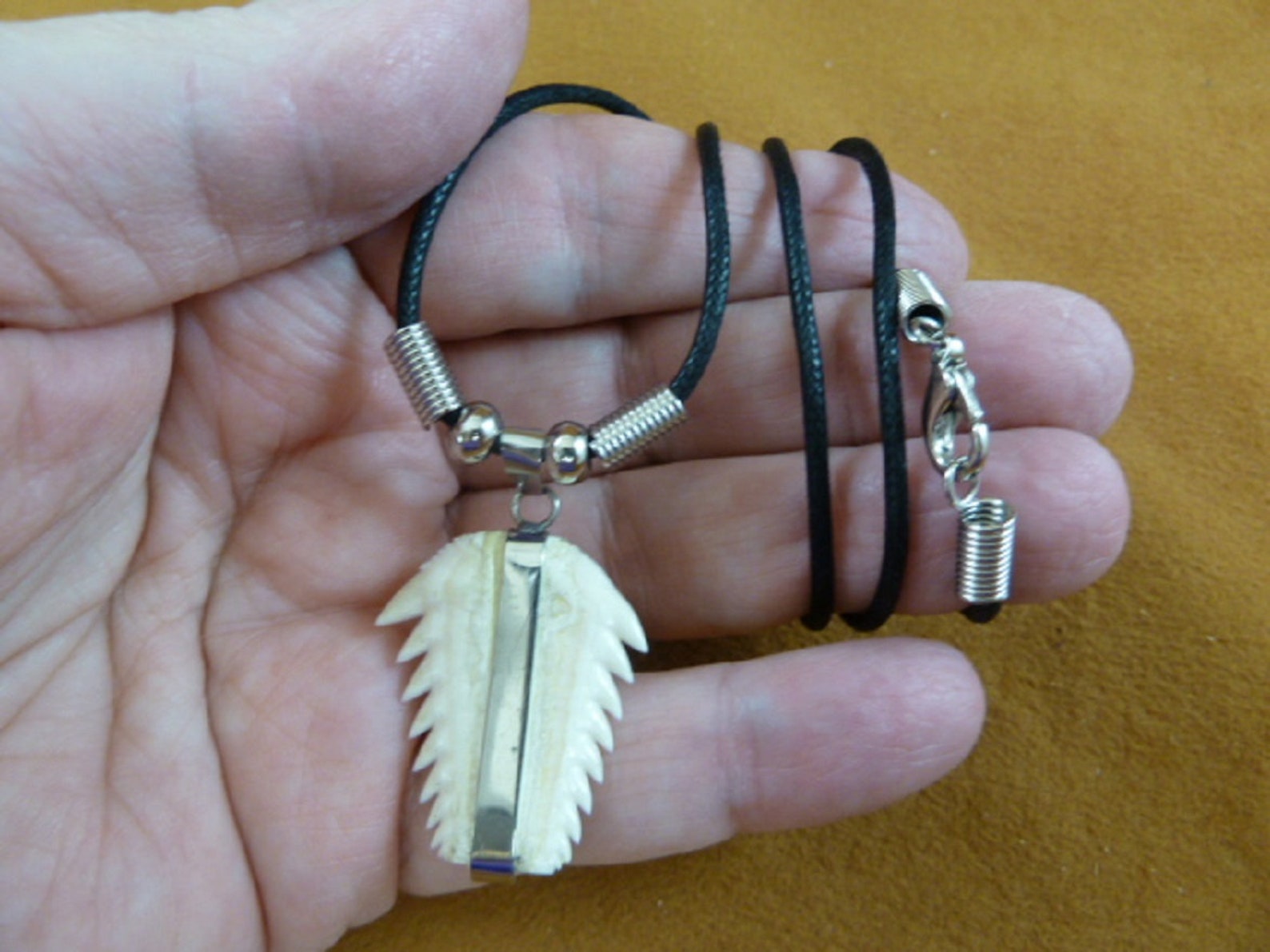 Rare 1-1/4" Six-gill Bluntnose Cow Shark Tooth Pendant on Black 20 ...