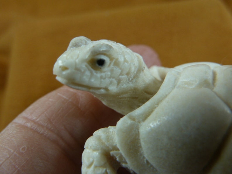 Turtle of Shed ANTLER Figurine Bali Detailed Carving of Shed Moose ...