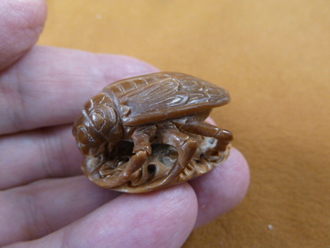 Little Tan Cicada Insect Tagua Nut Figurine Bali Detailed Carving ...