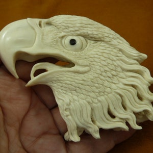 White Bald Eagle Eagles Head of Shed ANTLER Figurine Bali Detailed ...