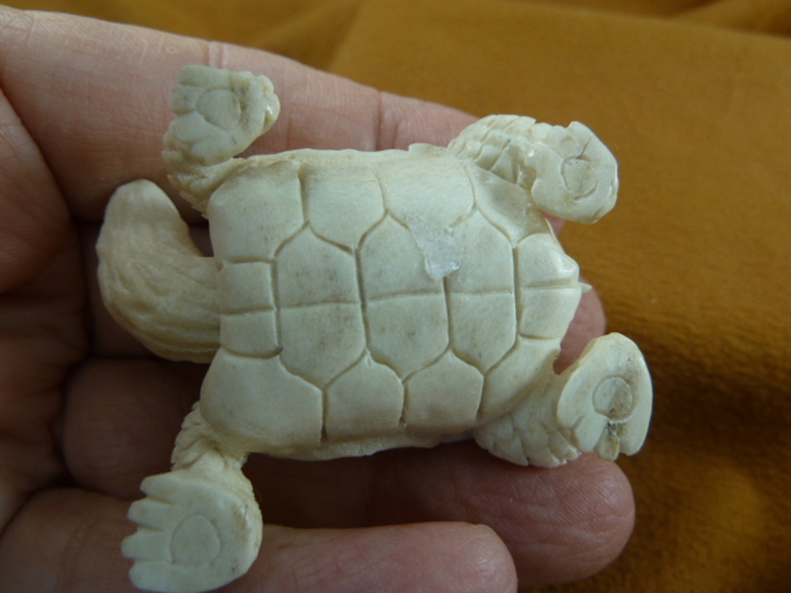 Turtle of Shed ANTLER Figurine Bali Detailed Carving of Shed Moose ...