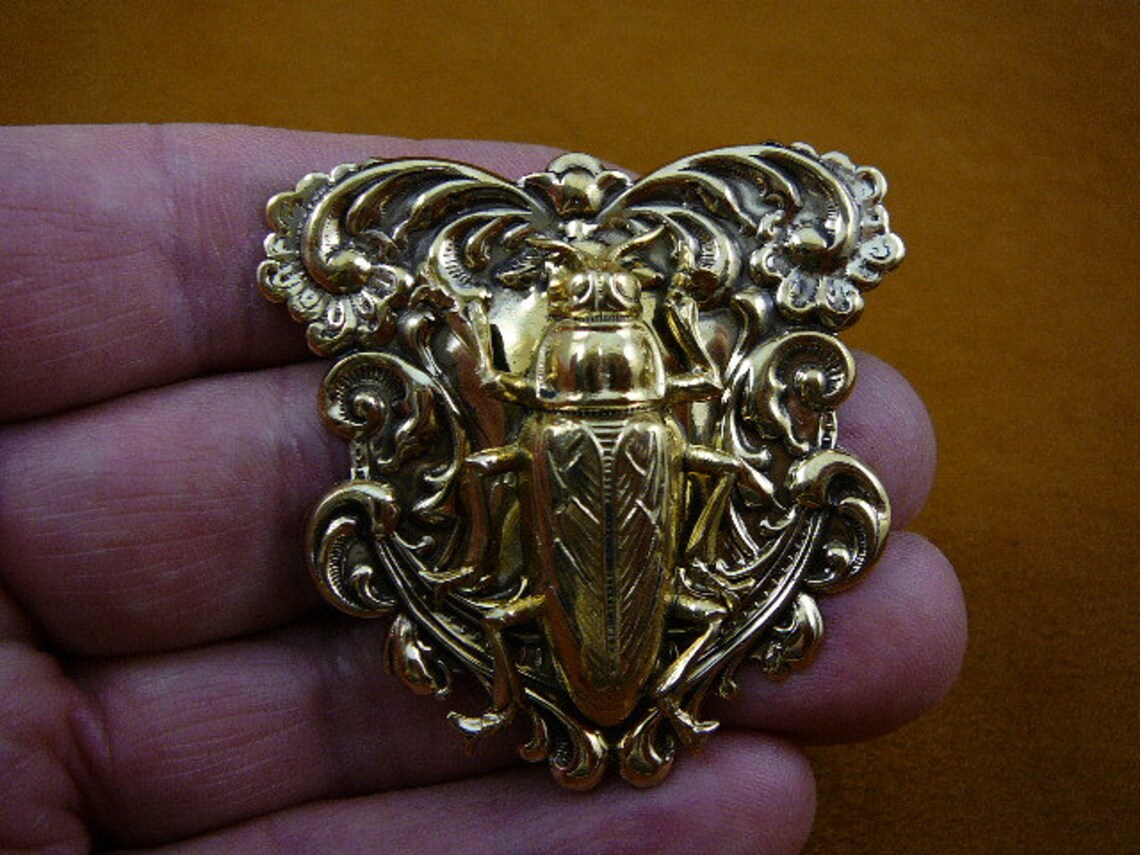 Small Cockroach Roach Bug Bugs Lover Love Gross Insect Fun Scrolled ...