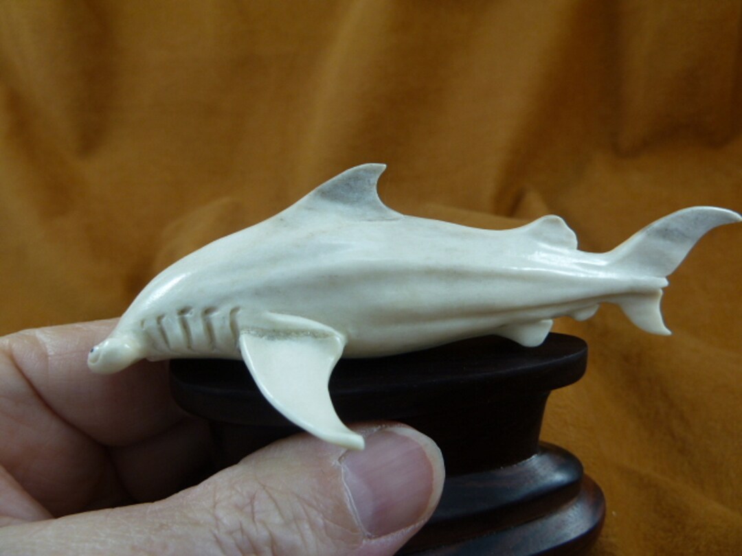 Large White Hammerhead Shark Display Figurine of Shed Moose Antler Bali ...