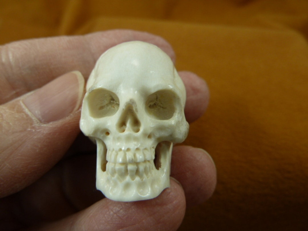 Little White Human Skull Cranium Figurine Bali Detailed Carving of Shed ...