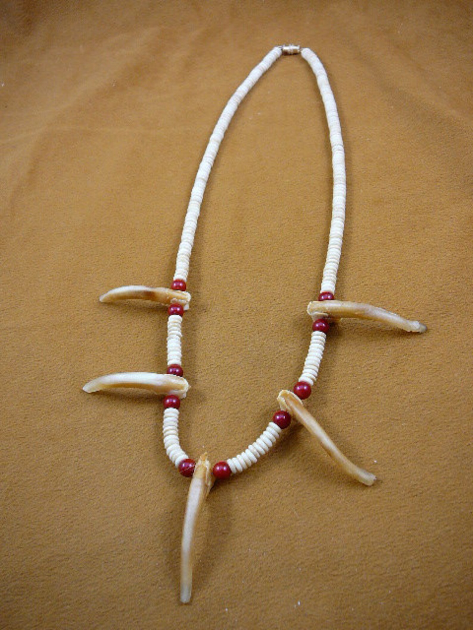 Five Claw One 2-1/8" BADGER and Two 1-7/8" Claws on Natural White Cow ...